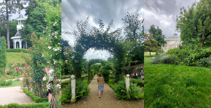 Feathers of the Firebird | Sophie Masson's writing blog